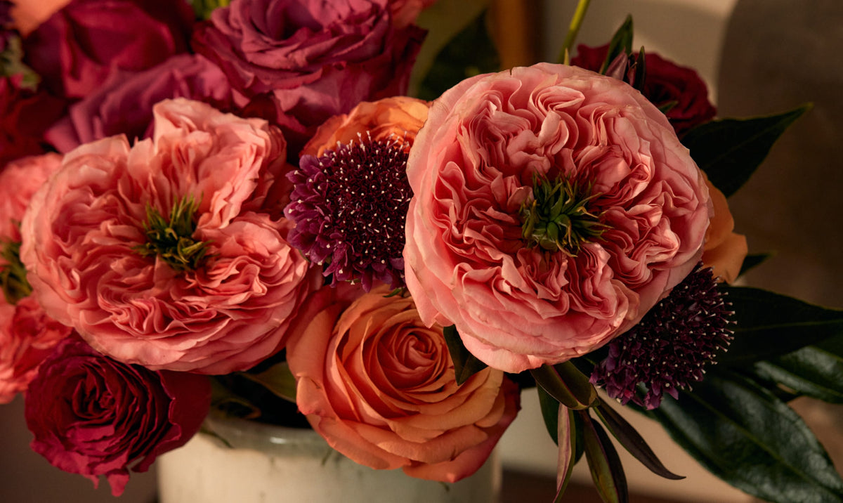 10 Unique Fall Flowers to Elevate Your Seasonal Bouquets (That Aren’t ...
