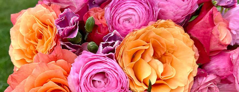 Official State Flowers Of All 50 States | UrbanStems