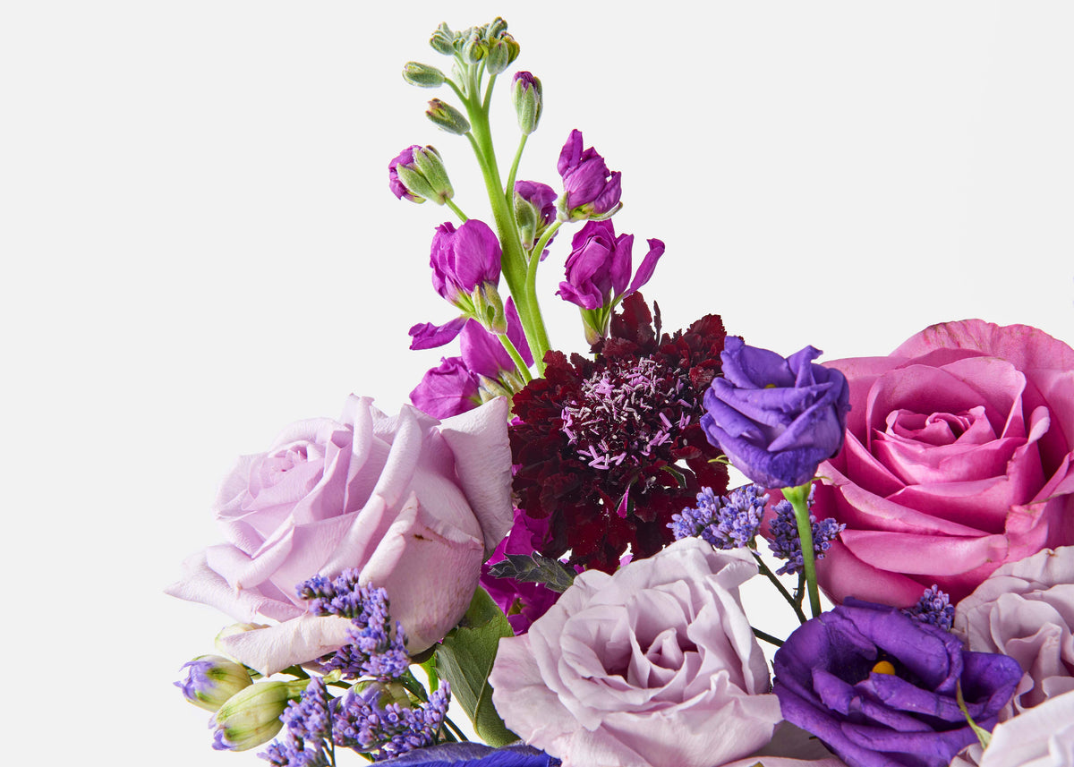 February Birth Flower | UrbanStems