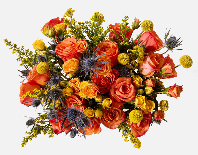 Double the Firecracker | UrbanStems Flower Delivery