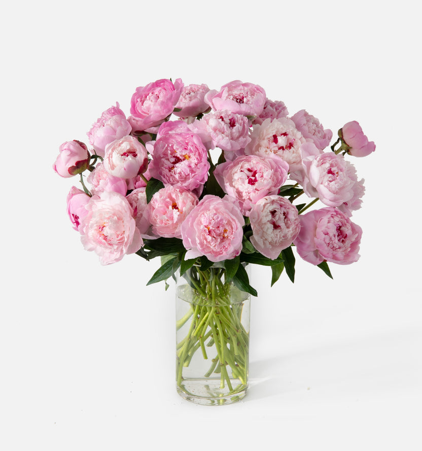Triple the Peony | UrbanStems Flower Delivery